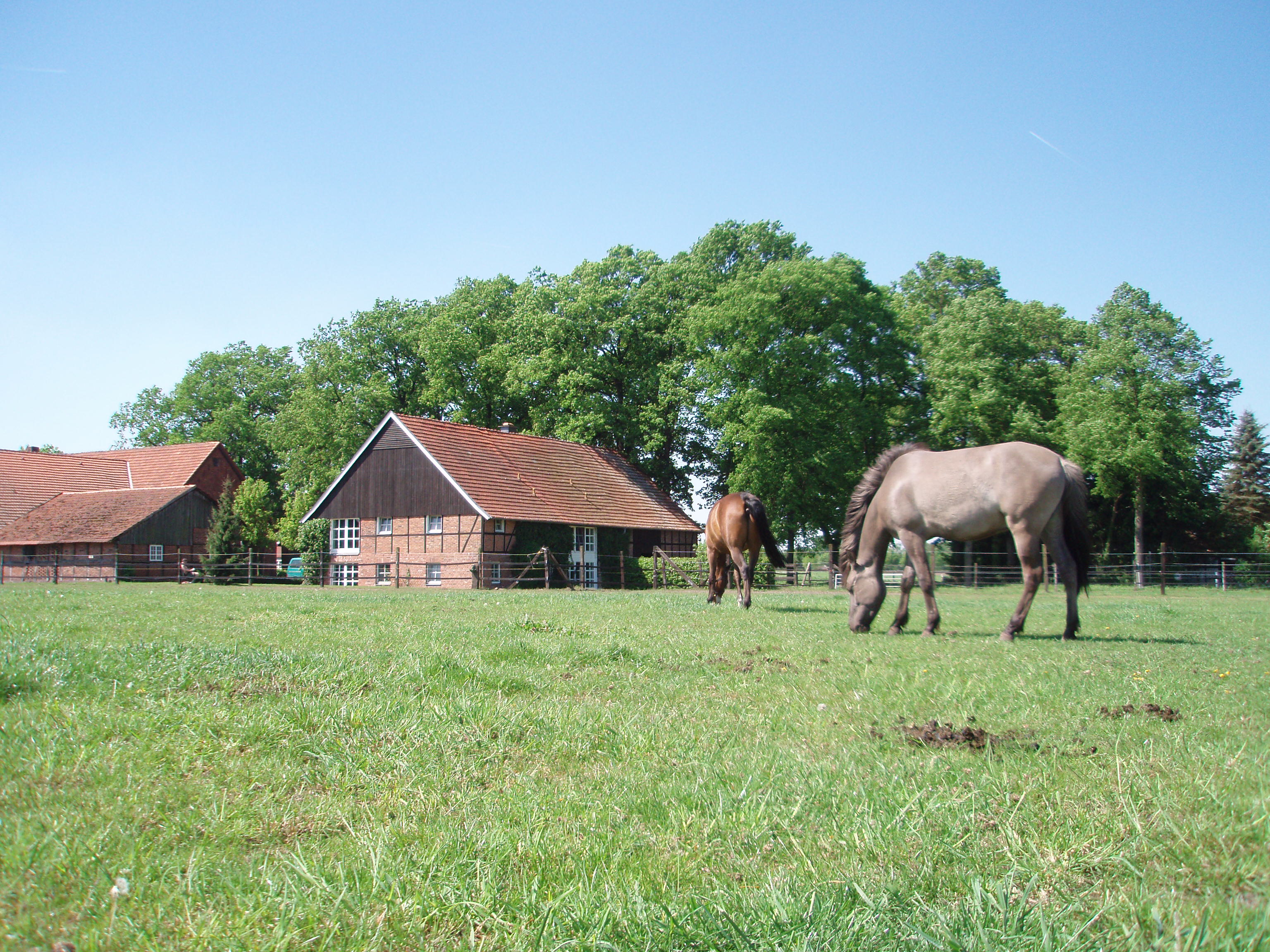 Startseite Warendorf Milte
